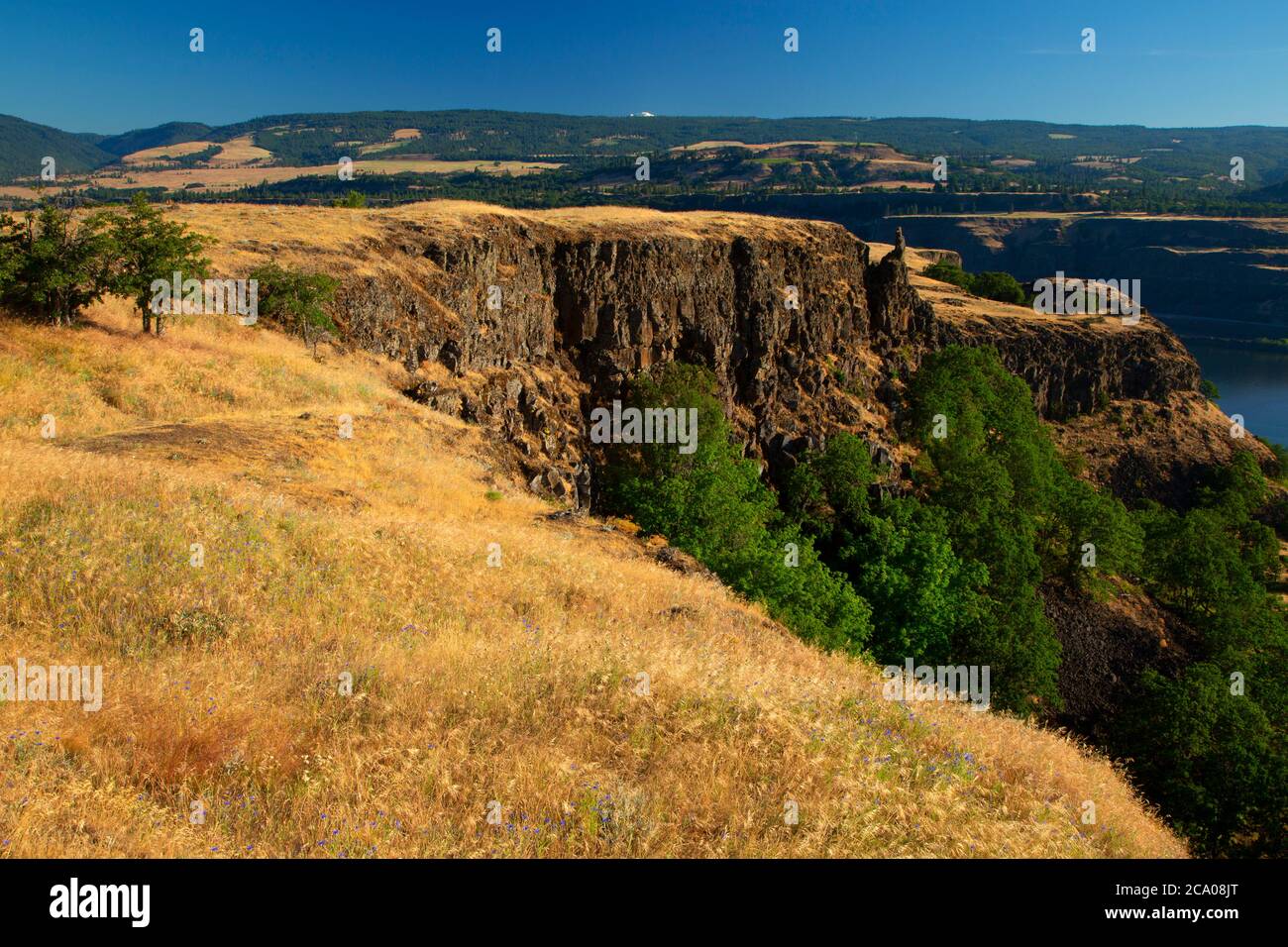 Plateau grassland, Tom McCall Preserve, Columbia River Gorge National ...