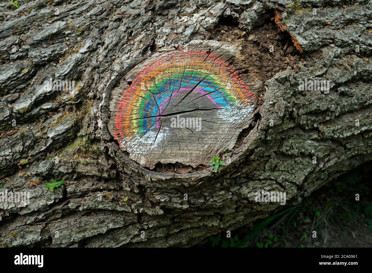 Nhs rainbow tree hi-res stock photography and images - Alamy
