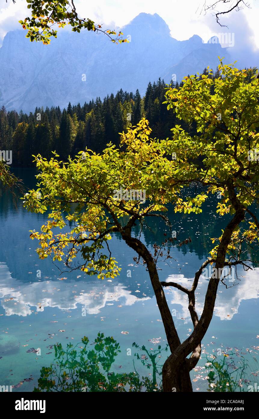 Lake laghi di fusine italy hi-res stock photography and images - Alamy