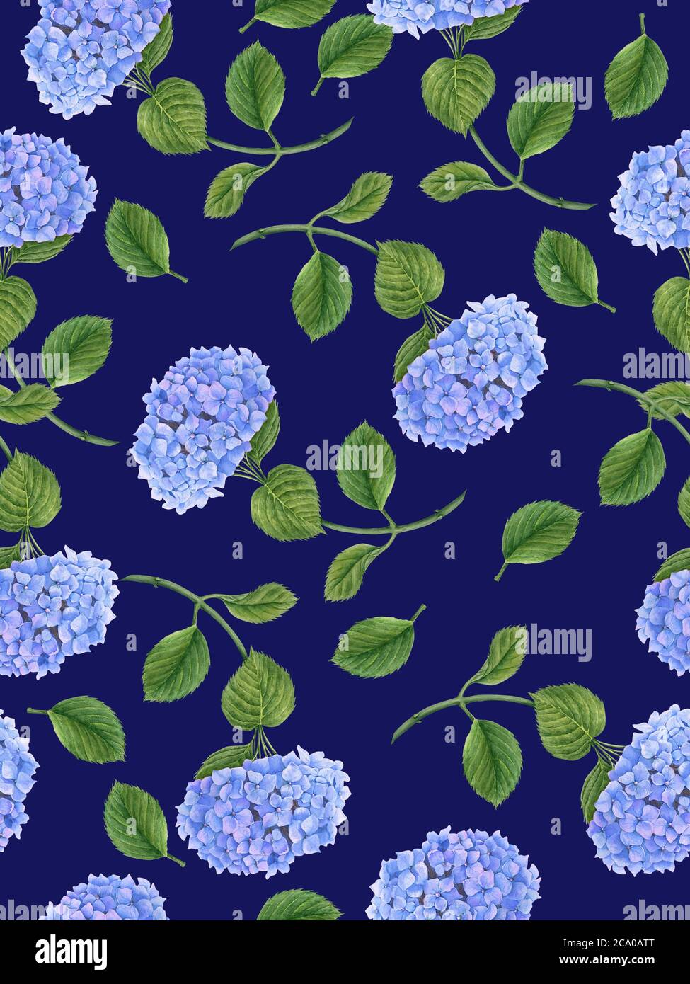 Seamless floral pattern with Hydrangea flower Stock Photo - Alamy