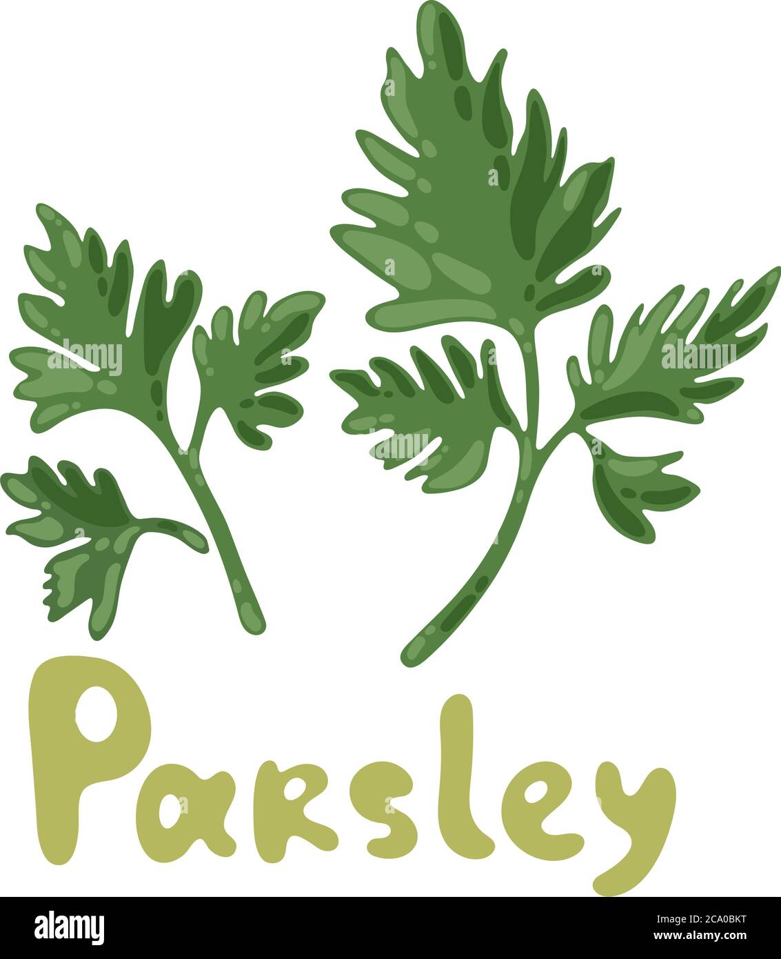 Curly parsley plate Cut Out Stock Images & Pictures - Alamy