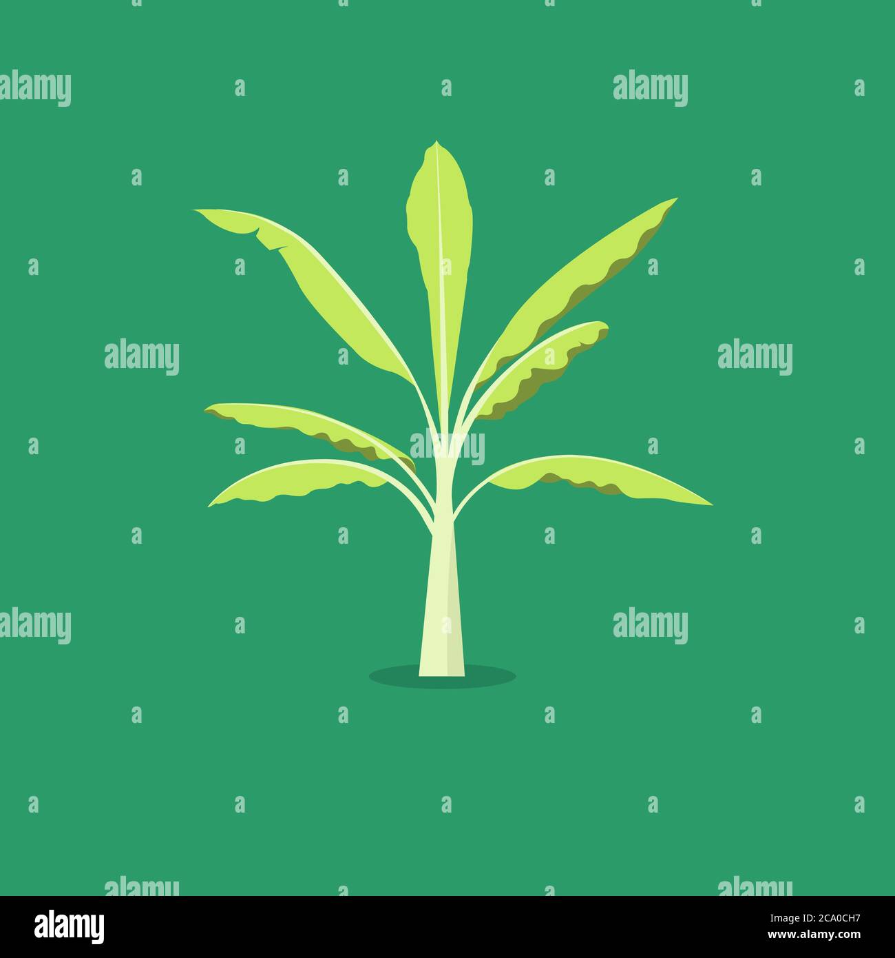 Banana tree vector with green background.Tree object flat style Stock ...