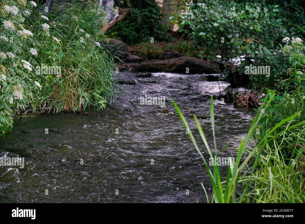 Mountain stream flows among rocks hi-res stock photography and images ...
