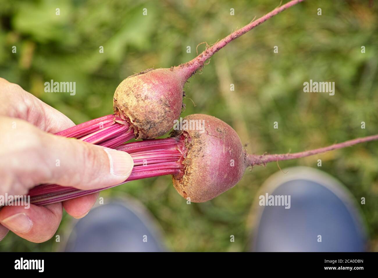 Top view man hand hi-res stock photography and images - Alamy