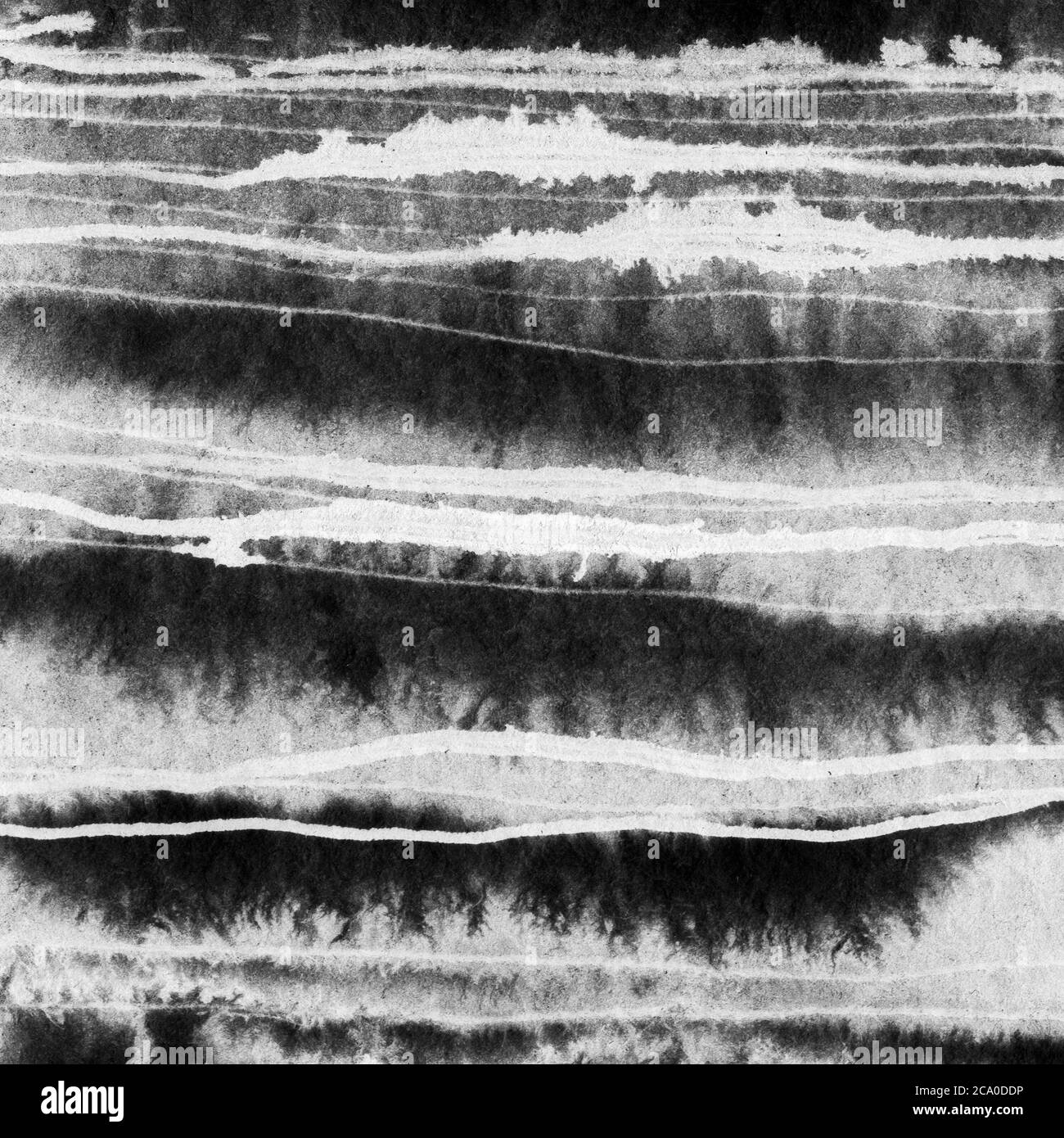 Abstract landscape ink hand drawn illustration. Black and white ink ...