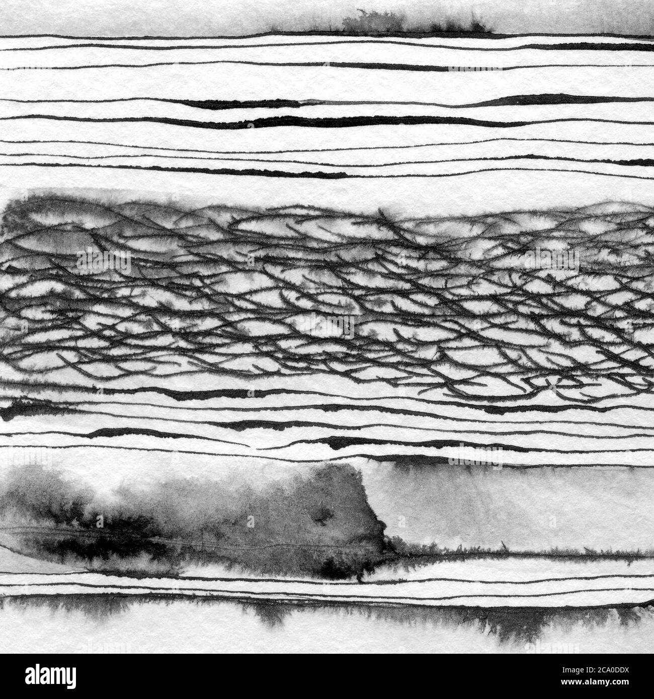 Abstract landscape ink hand drawn illustration. Black and white ink ...
