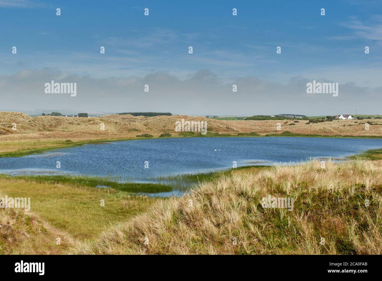 FORVIE SANDS NATIONAL NATURE RESERVE COLLIESTON SCOTLAND FRESHWATER ...