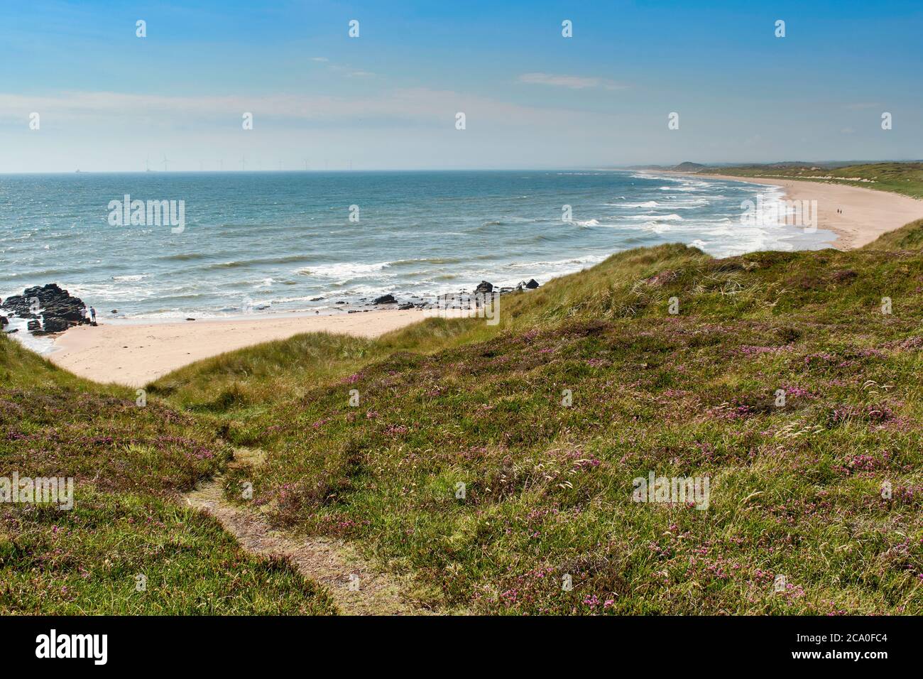 Pathway through nature reserve hi-res stock photography and images - Alamy