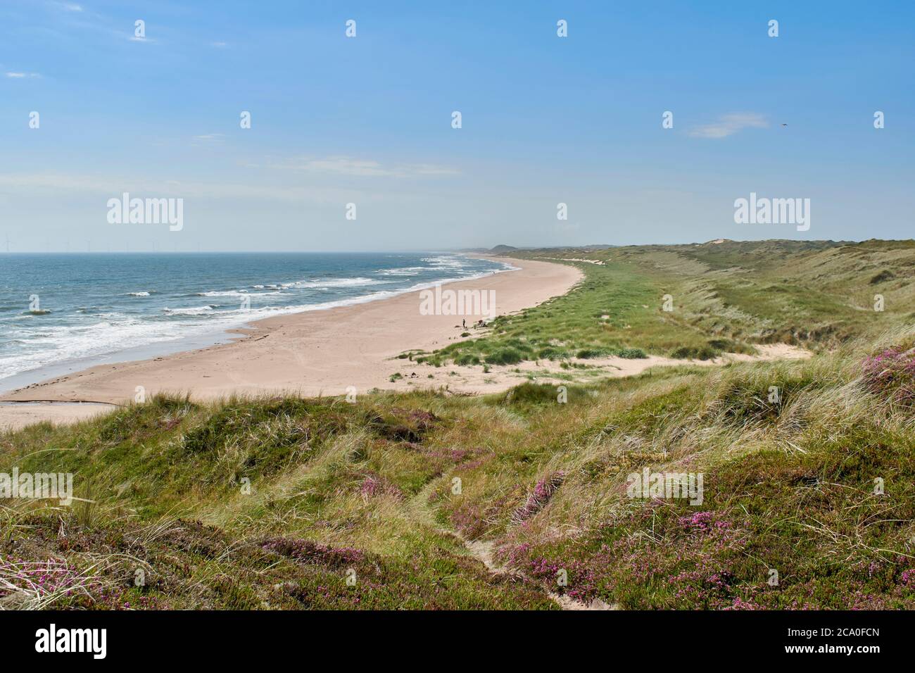 Pathway through nature reserve hi-res stock photography and images - Alamy