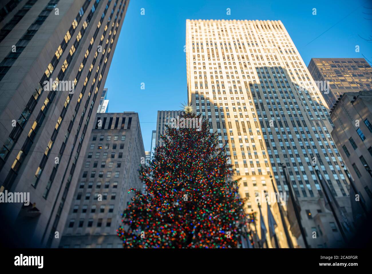 Big Christmas tree stands among the Rockefeller Center buildings Stock ...
