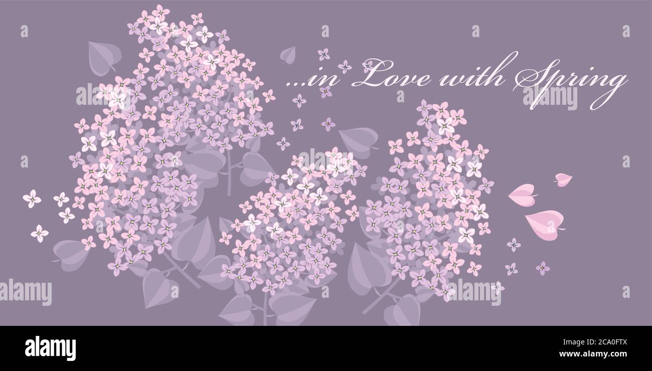 Tender romantic flower composition Stock Vector Images - Alamy