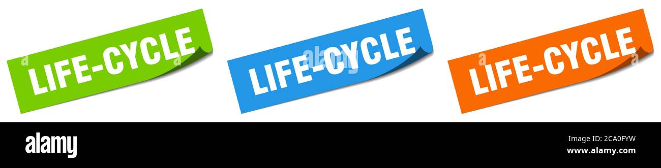 life-cycle paper peeler sign set. life-cycle sticker Stock Vector Image ...