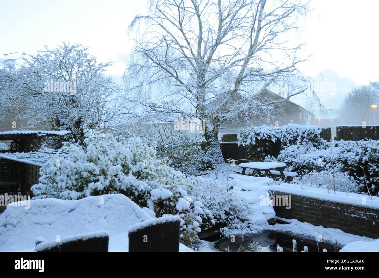 Norwich trees hi-res stock photography and images - Alamy