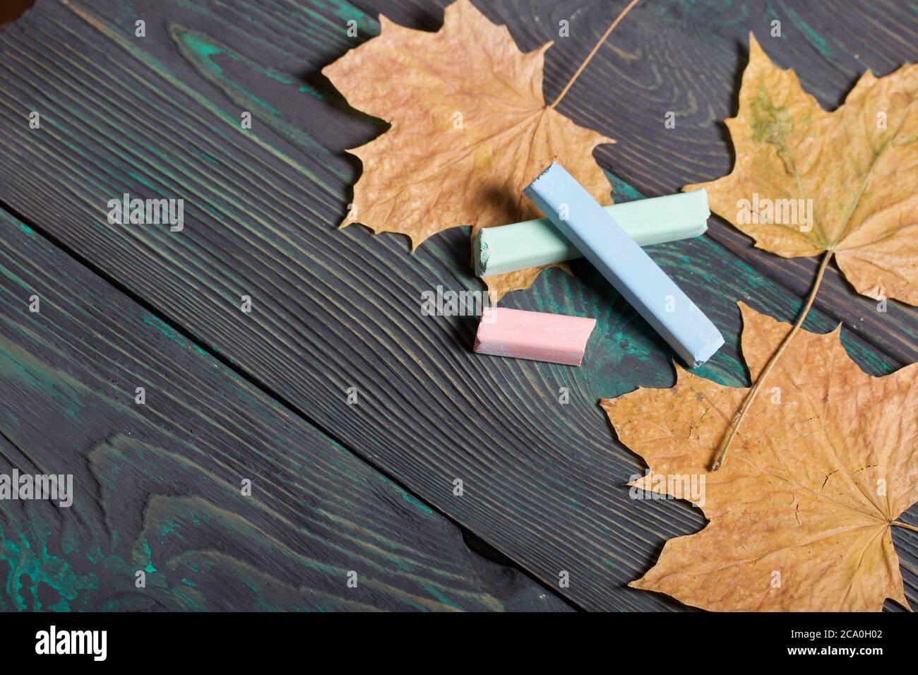 Chalk of different colors. Among the dried up maple leaves. On black ...