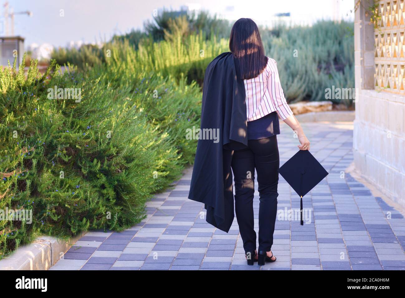 Rear view of graduating student standing against city background ...