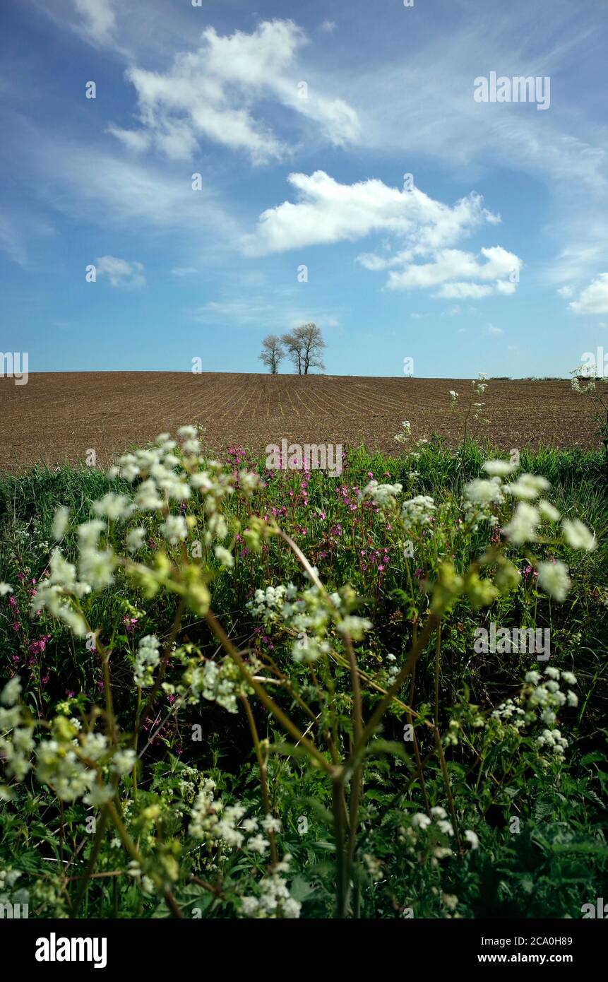 Hoath kent hi-res stock photography and images - Alamy