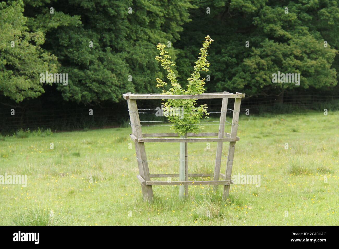 Wooden surround hi-res stock photography and images - Alamy