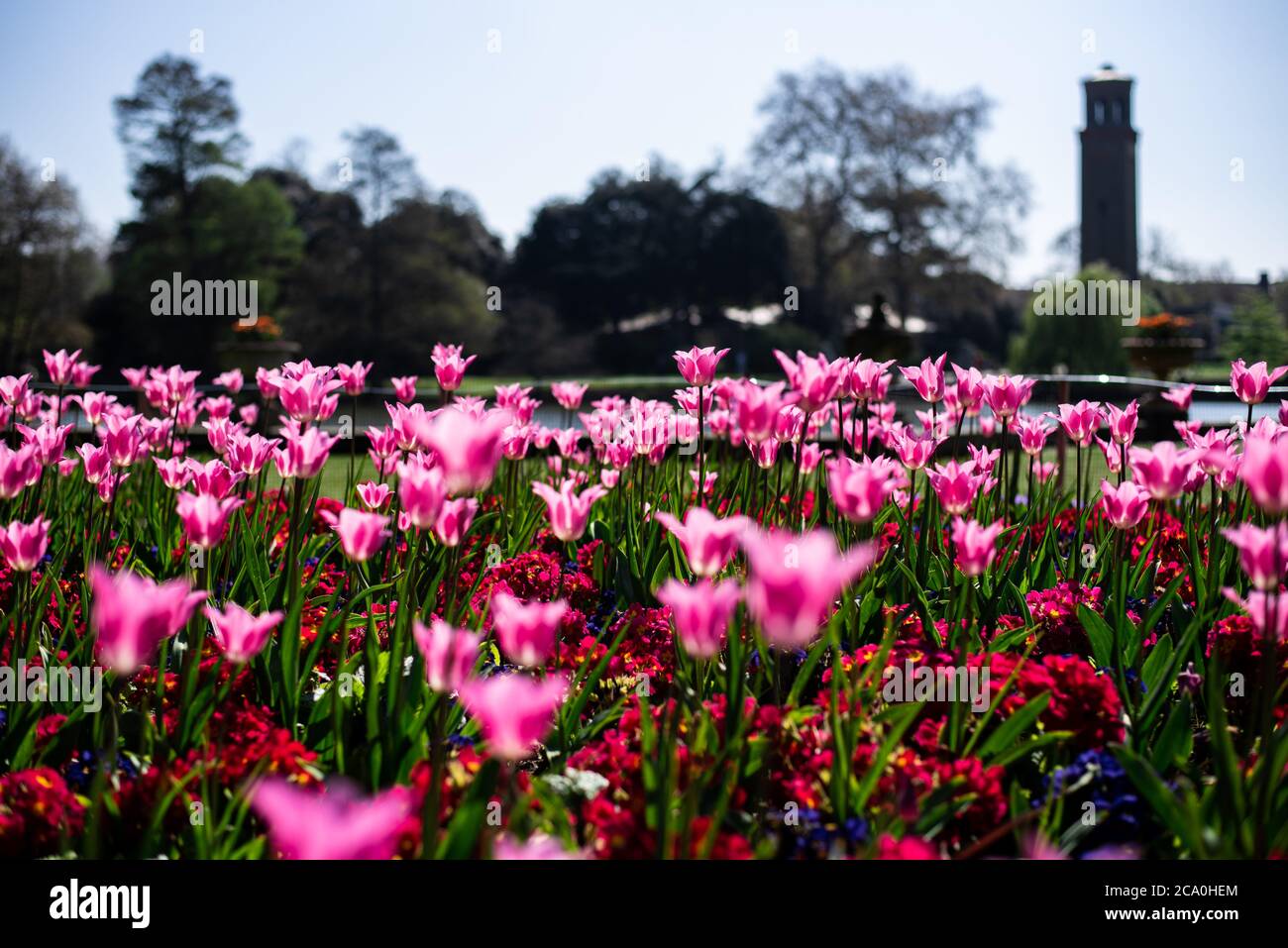 Beautiful flowers and exotic plants, during the spring season in Kew ...