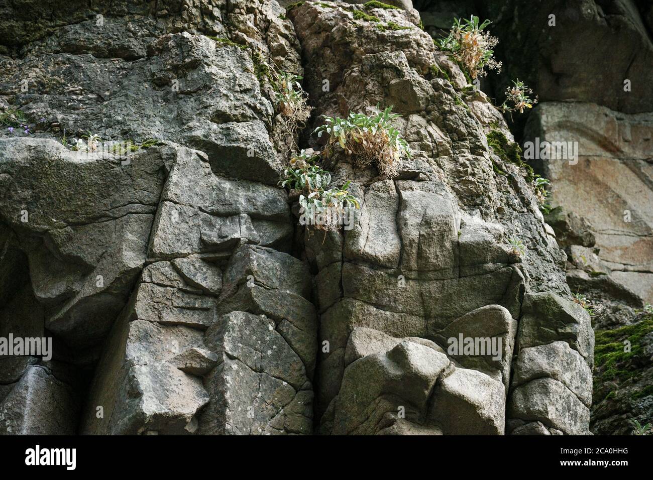 stone texture, stone rock cliff Stock Photo - Alamy