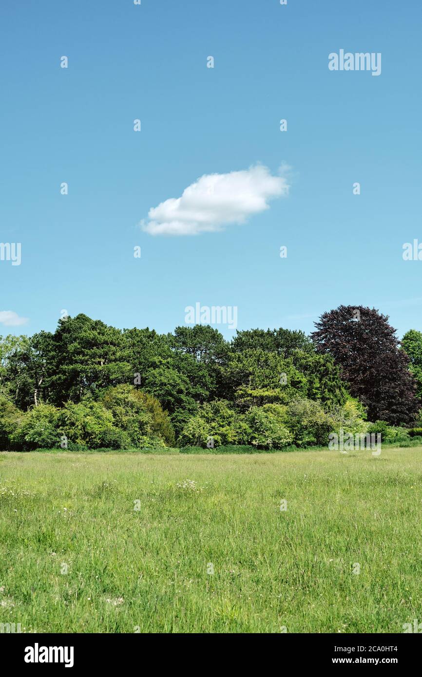 Bucolic Green High Resolution Stock Photography and Images - Alamy