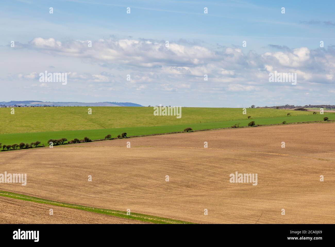 Fields in Sussex on a sunny spring day Stock Photo - Alamy