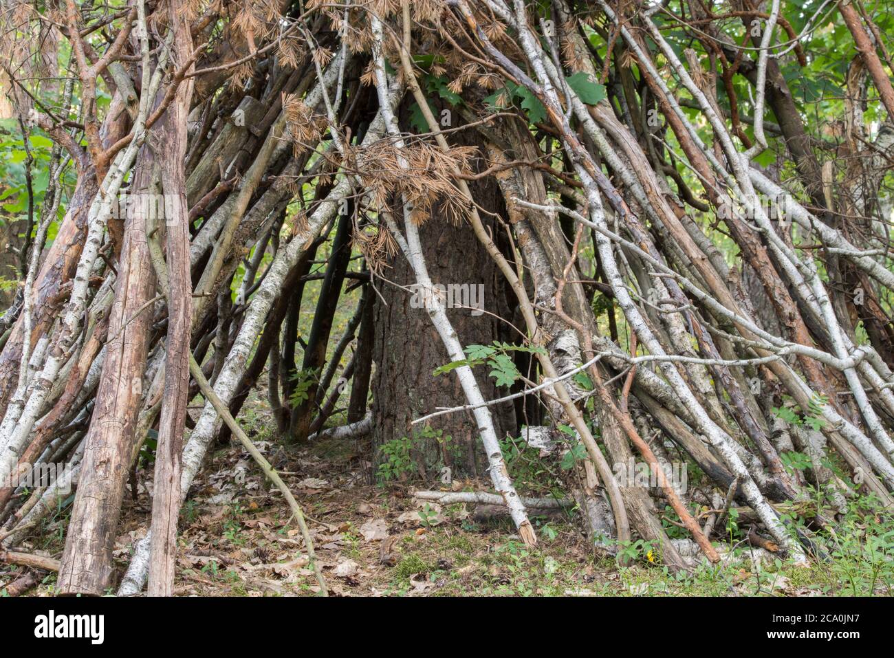 Hut made of branches hi-res stock photography and images - Alamy