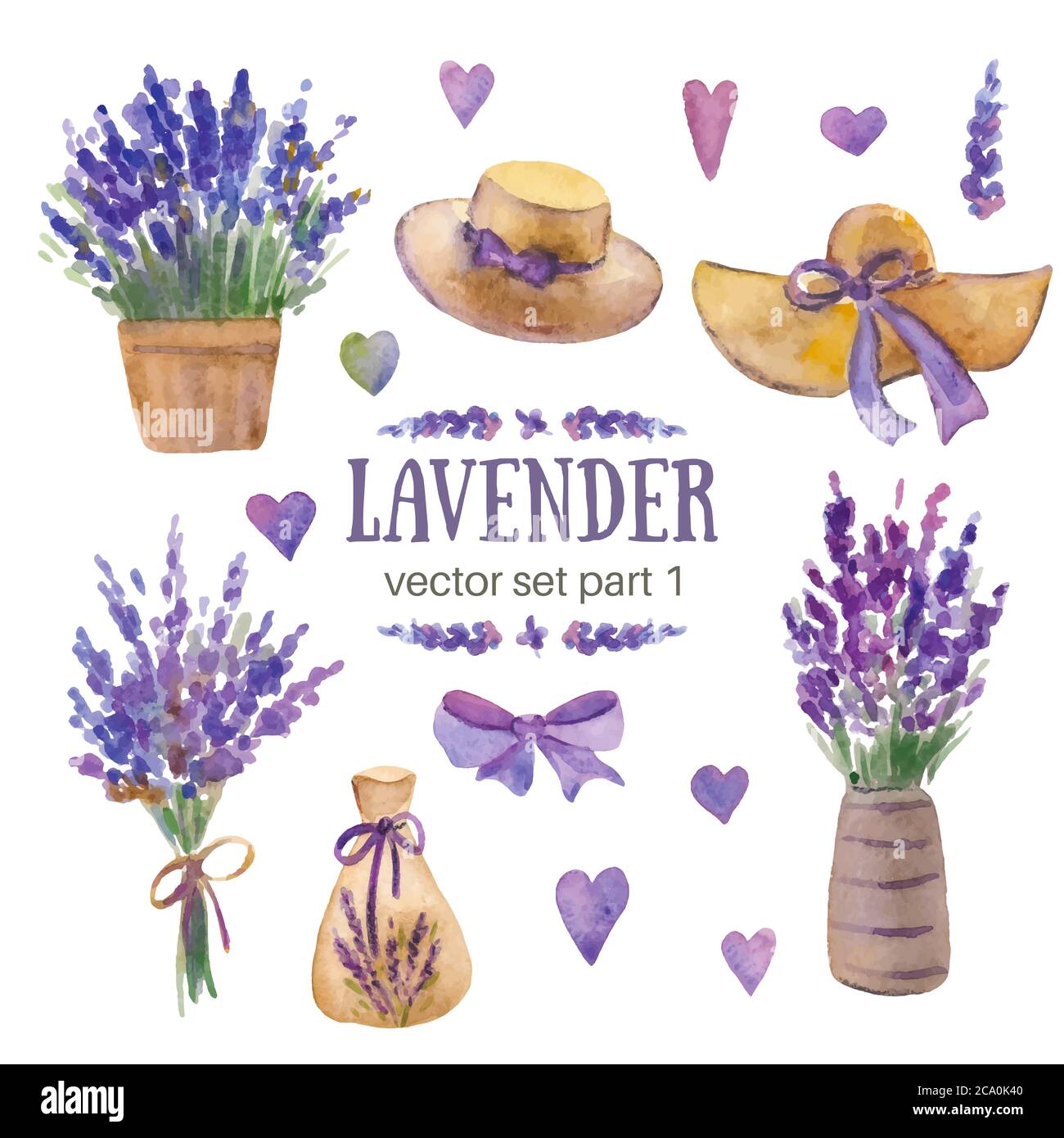Set of vector illustrations of lavender. Watercolor hand-painted ...