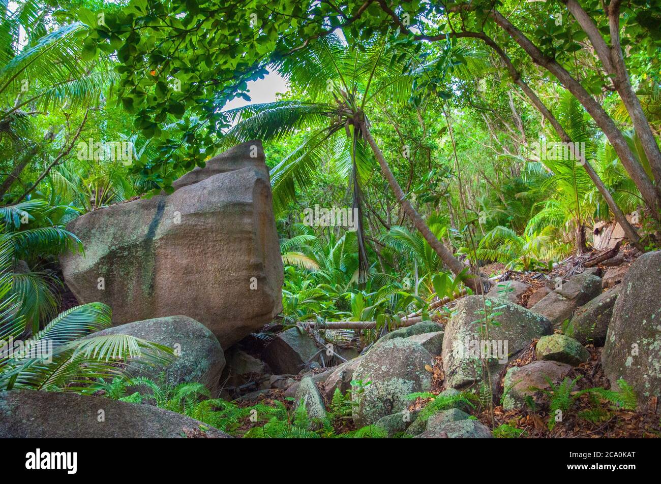 Boulder of granite rock into the tropical green jungle. Seychelles ...