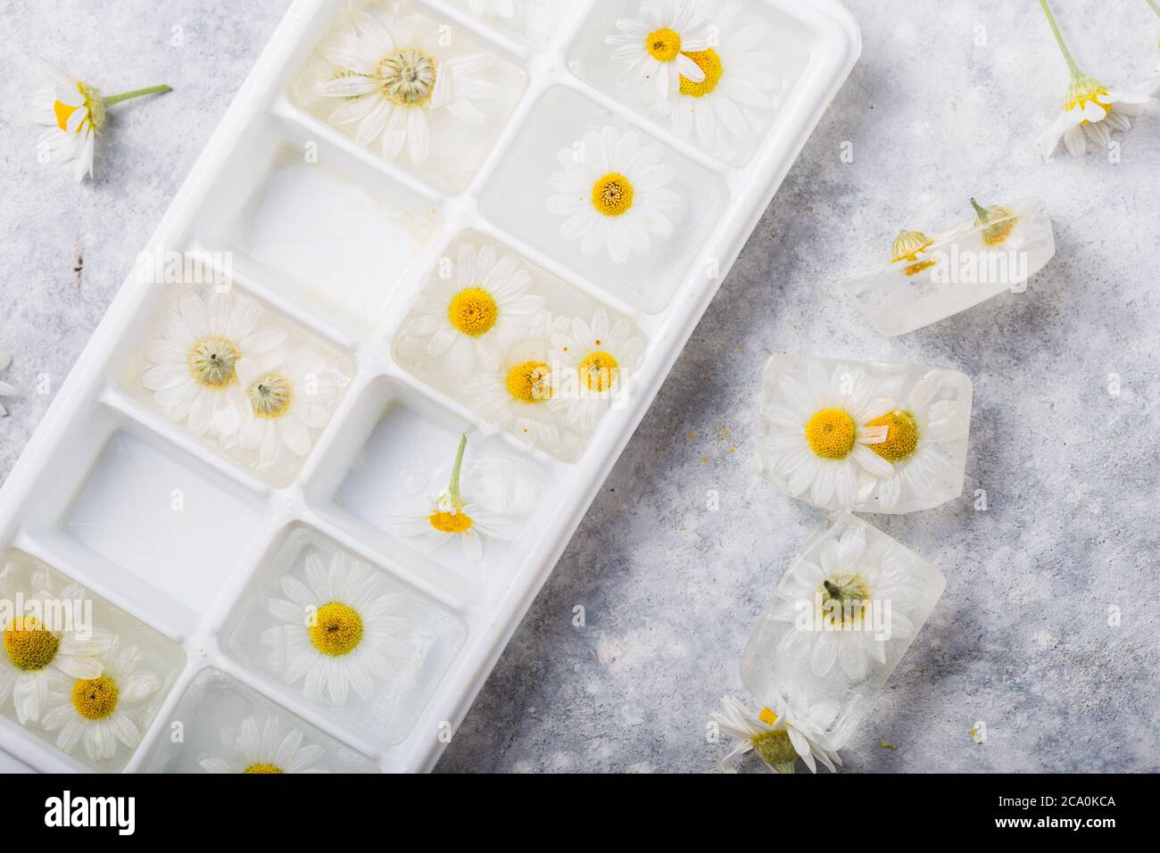 Ice cubes with chamomile flowers inside. Springtime symbolism Stock ...