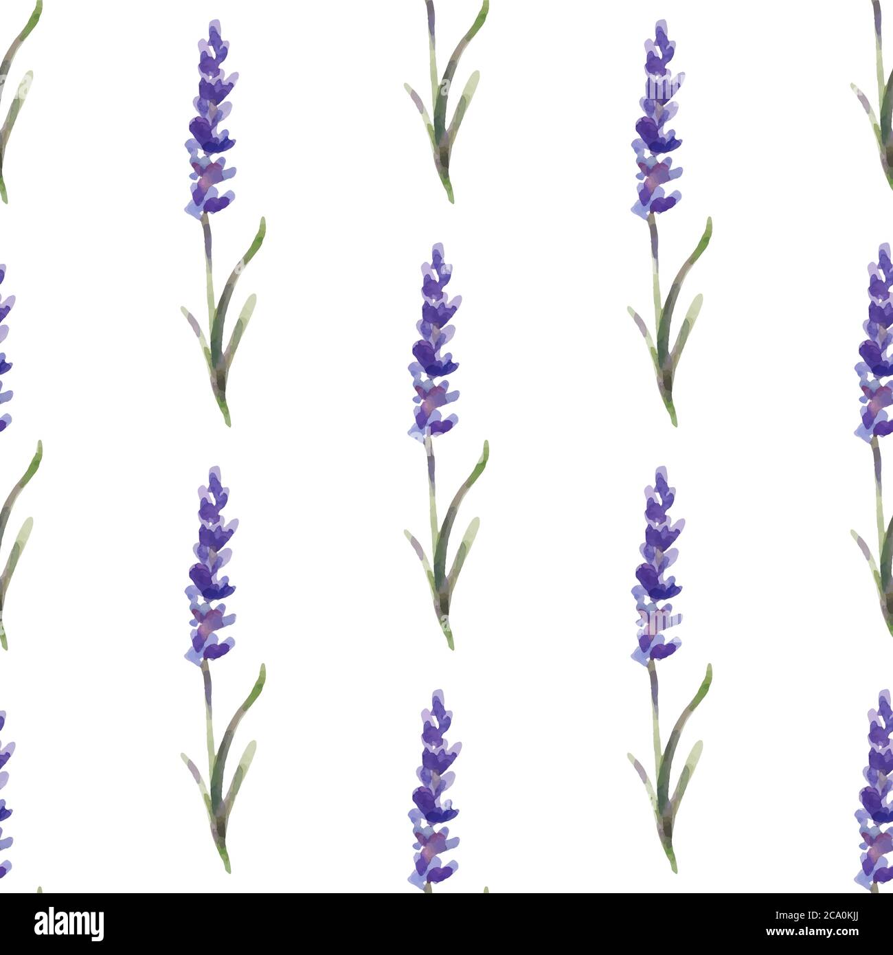 Vector illustration. seamless pattern made up of lavender flowers ...
