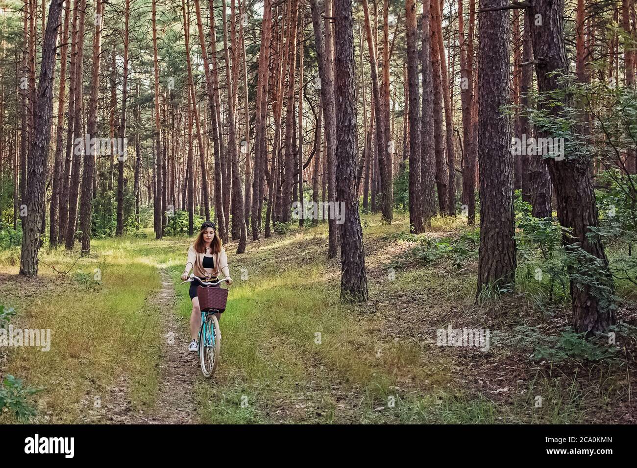 Bike ride in the forest hi-res stock photography and images - Alamy