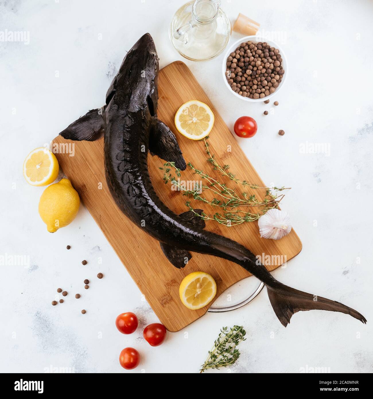 Beluga sturgeon fishing hi-res stock photography and images - Alamy