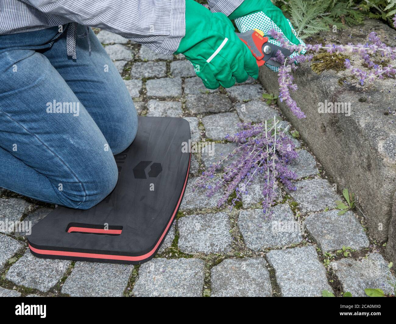 Kneeling pad hi-res stock photography and images - Alamy