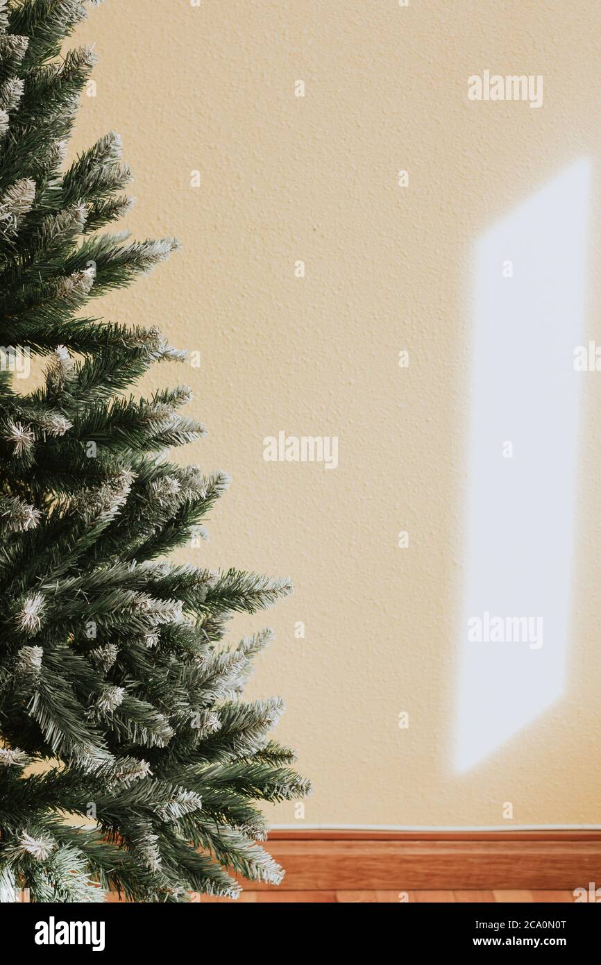 christmas tree against beige wall Stock Photo - Alamy