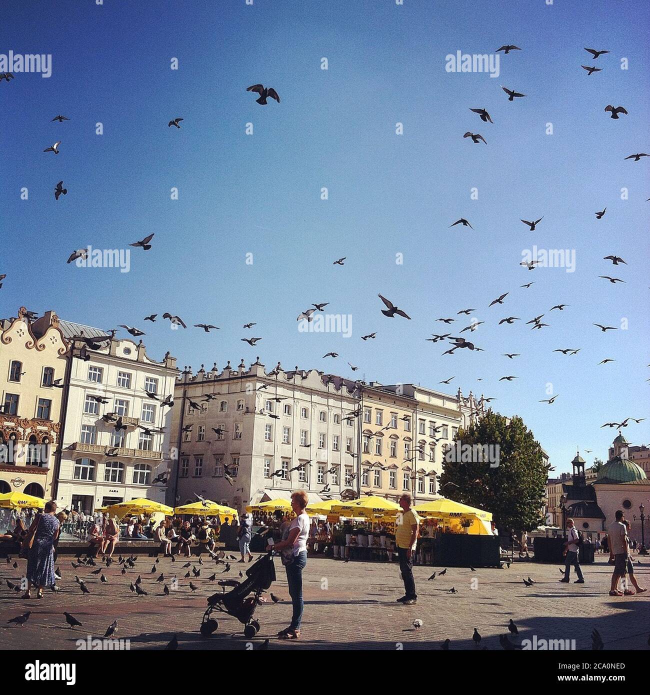 Pigeons flying over people at main square Stock Photo - Alamy