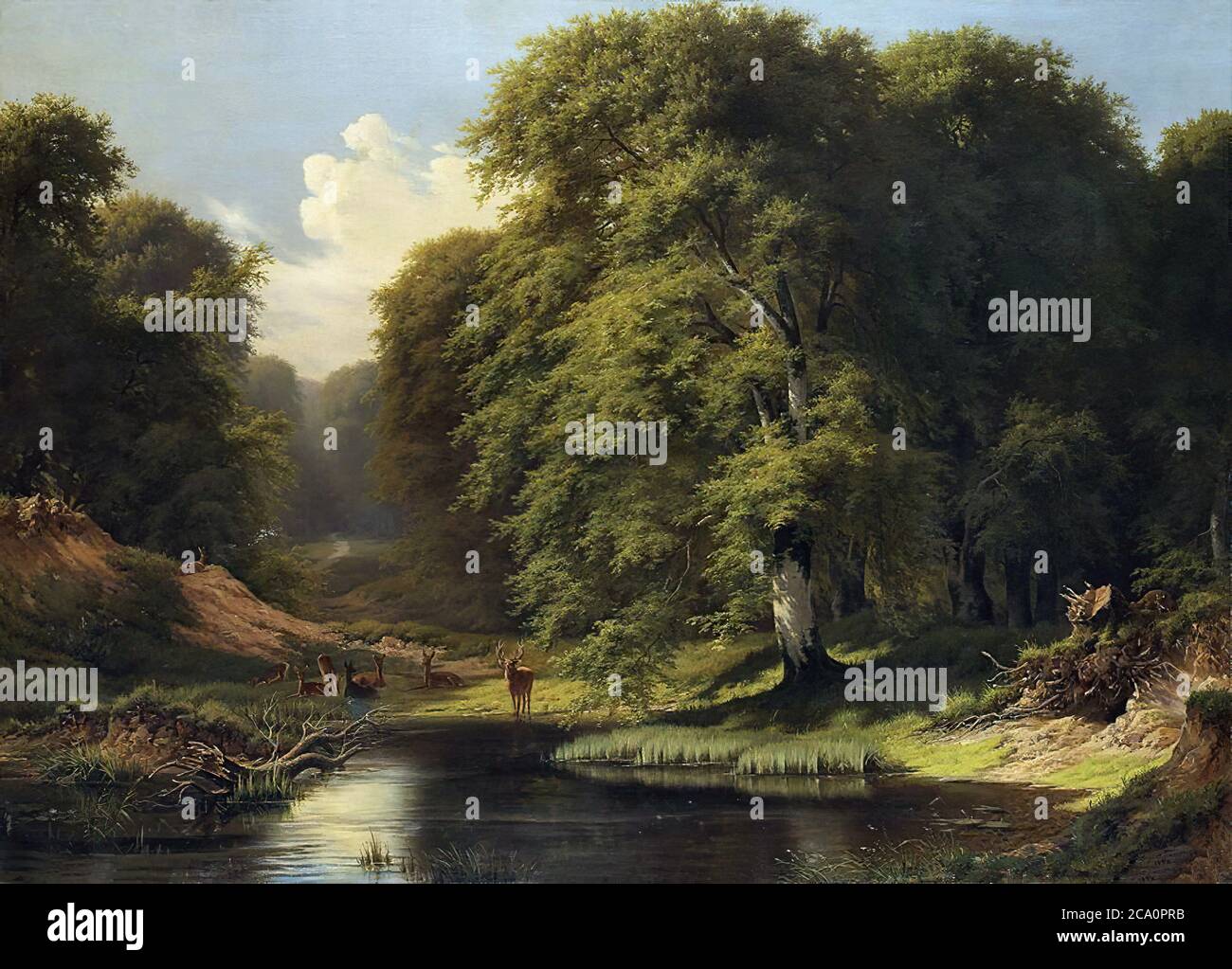 Thomsen August Carl Vilhelm - a Buck and the Herd - Danish School ...