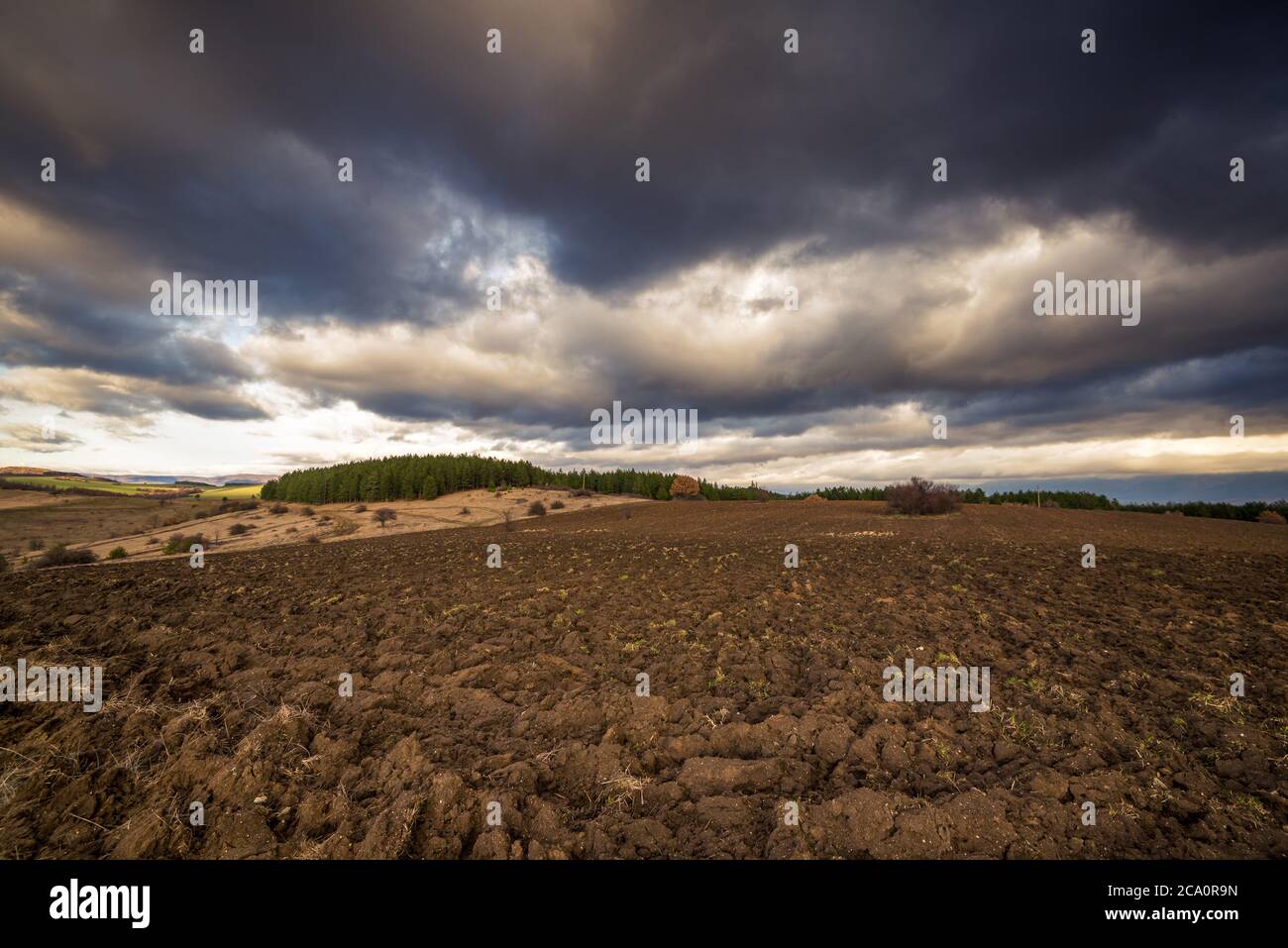 View autumn forest on cloudy hi-res stock photography and images - Alamy