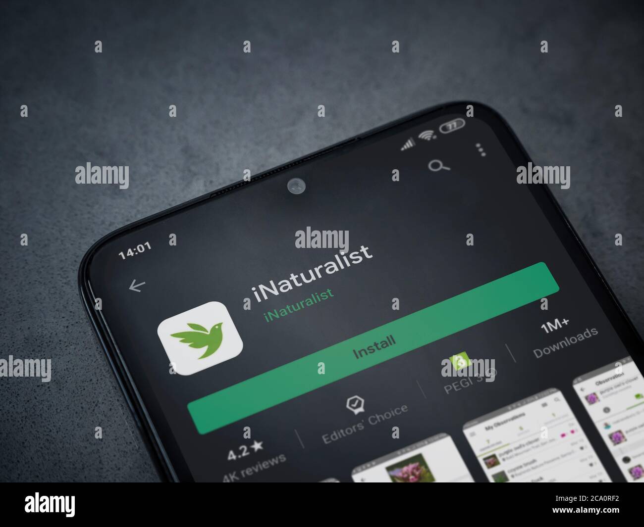 Lod, Israel - July 8, 2020: iNaturalist app play store page on the ...
