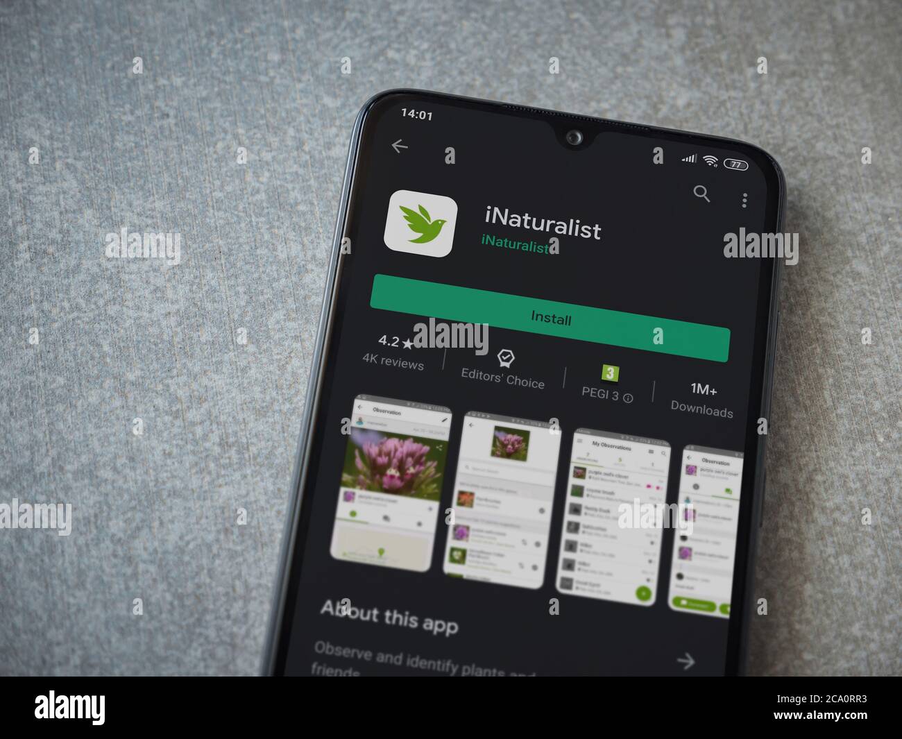 Lod, Israel - July 8, 2020: iNaturalist app play store page on the ...