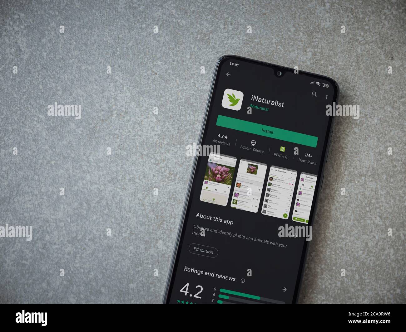 Lod, Israel - July 8, 2020: iNaturalist app play store page on the ...