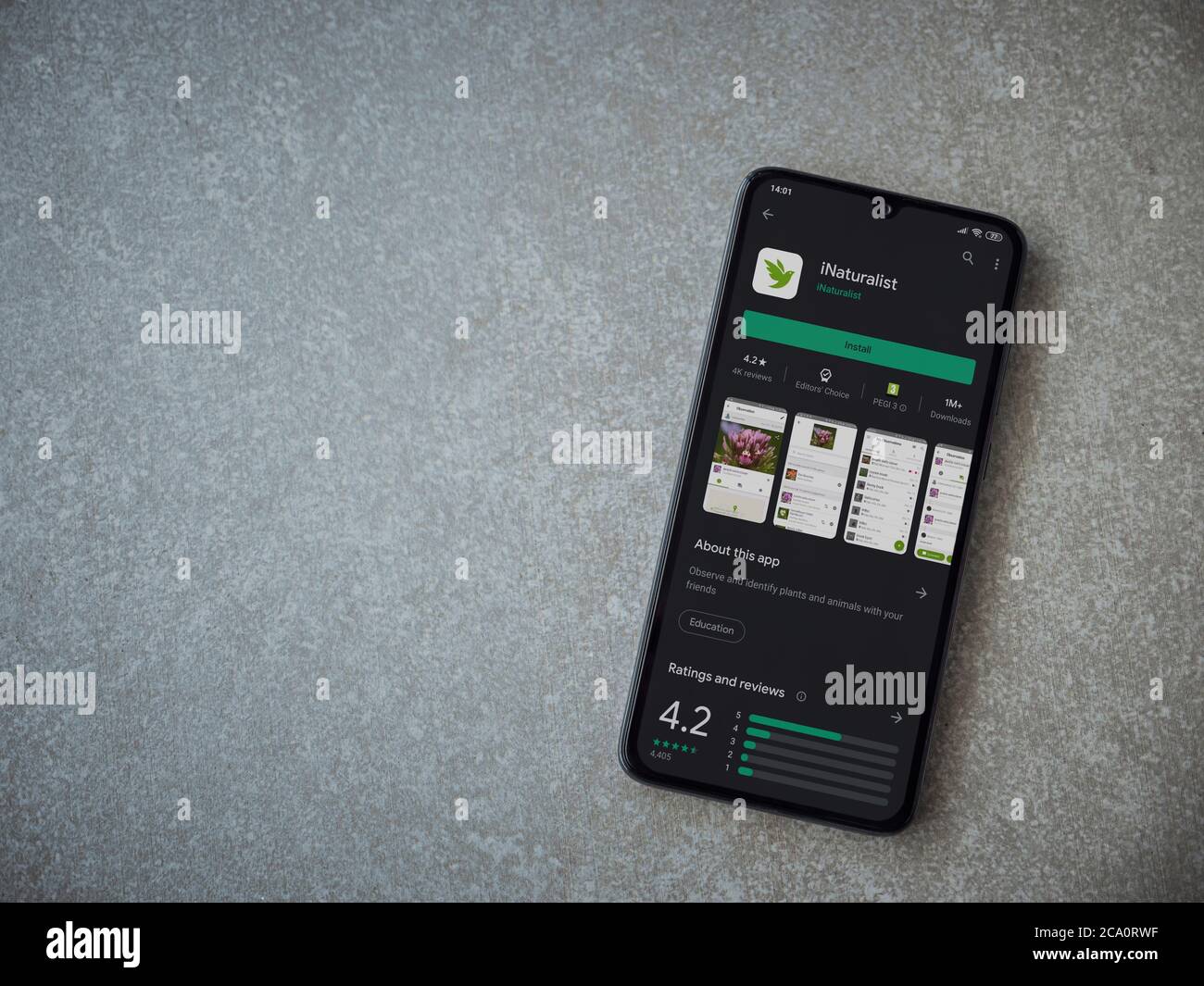 Lod, Israel - July 8, 2020: iNaturalist app play store page on the ...