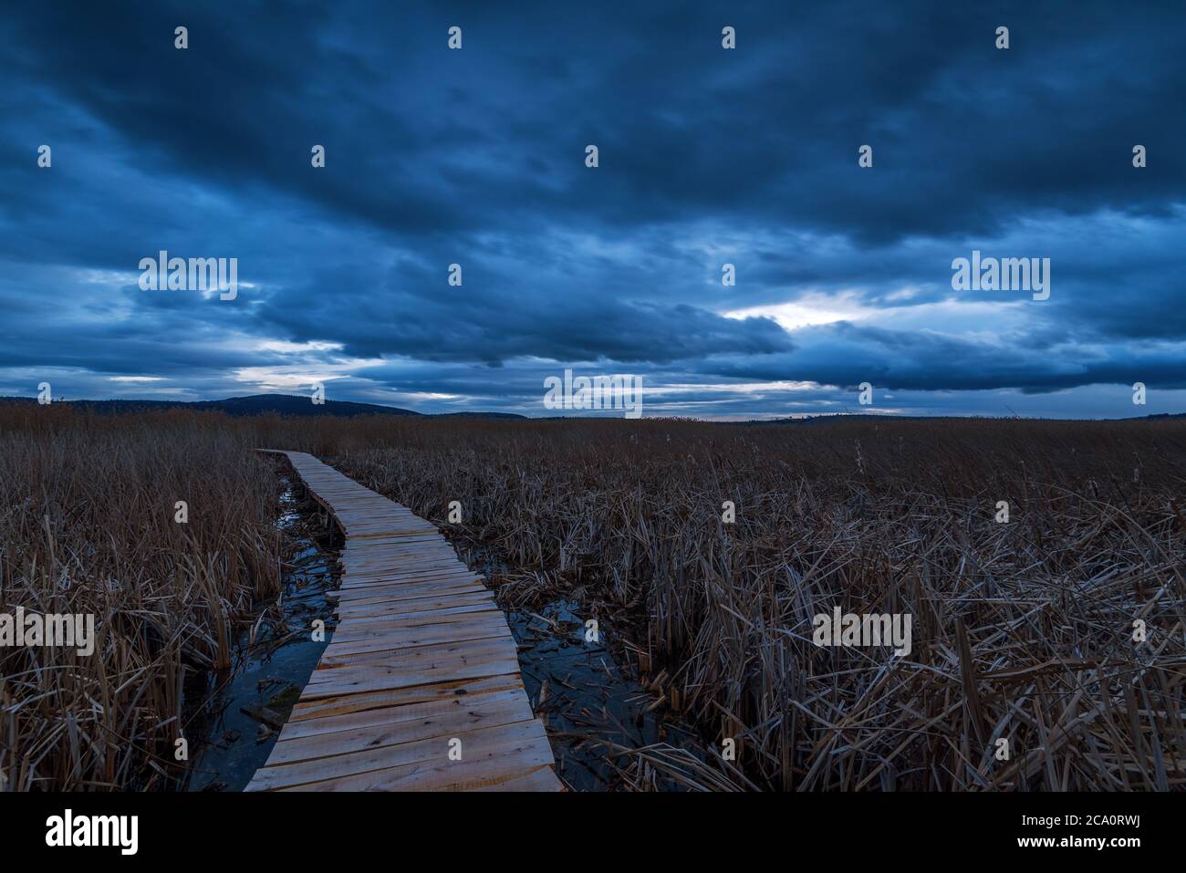 Boardwalk in marshland, Dragoman Swamp - Natural Reserve and birds ...