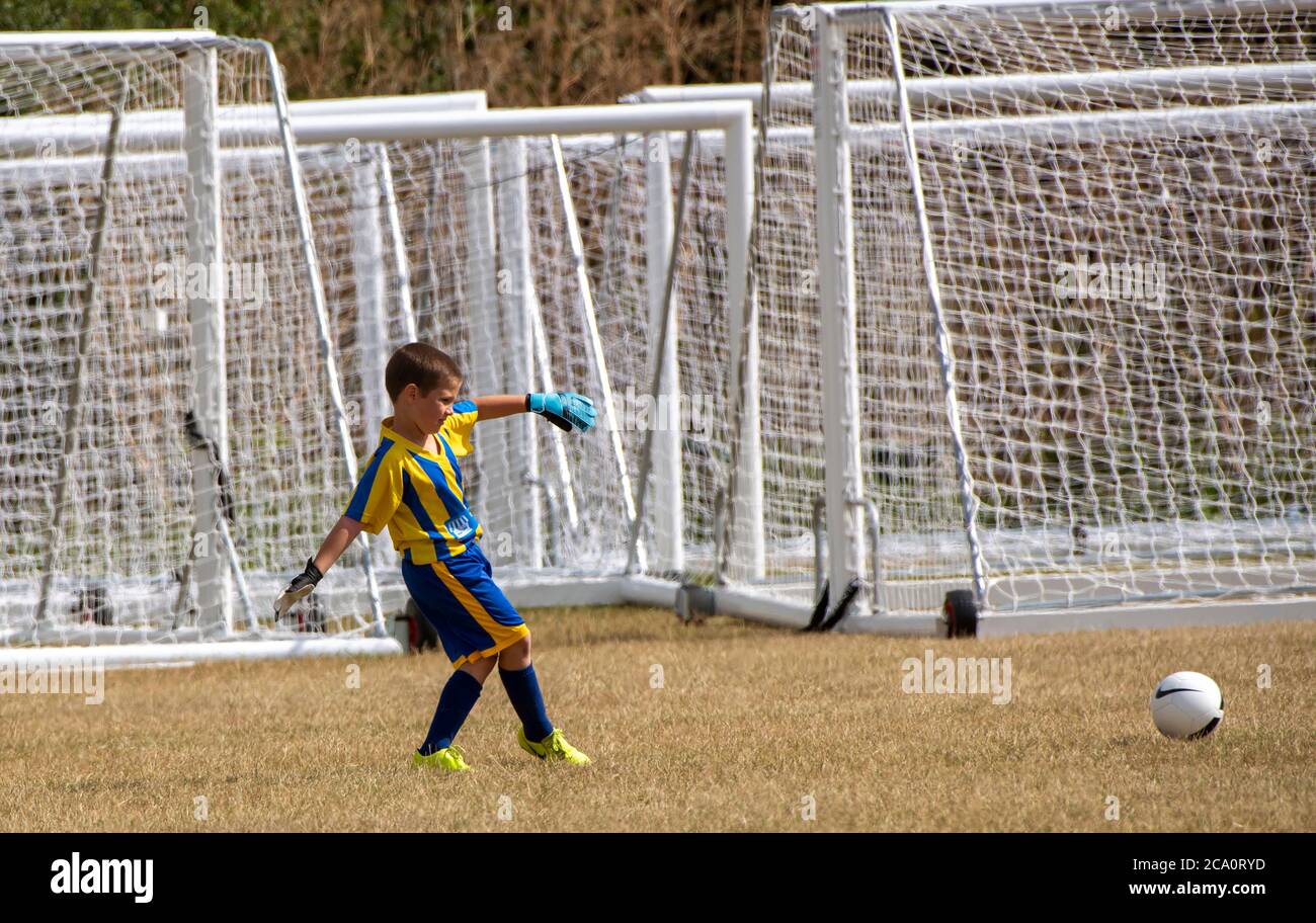 Soccer goalie gloves hi-res stock photography and images - Alamy