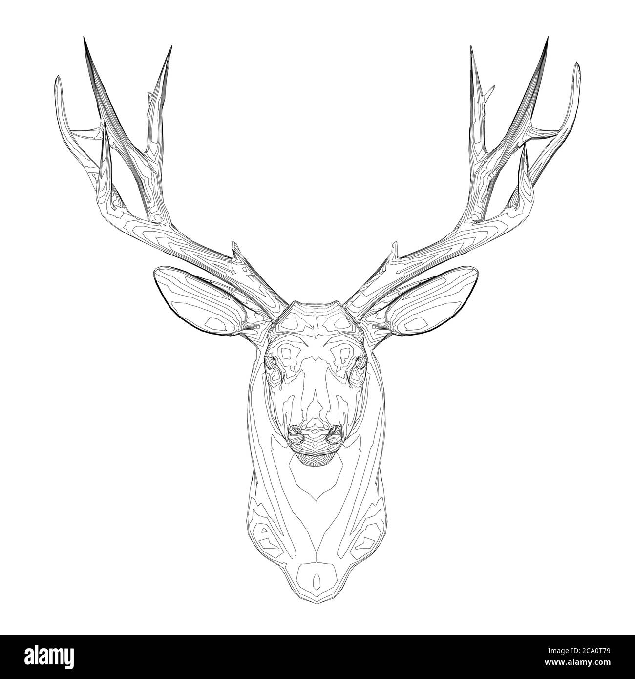 Deer Head Front View