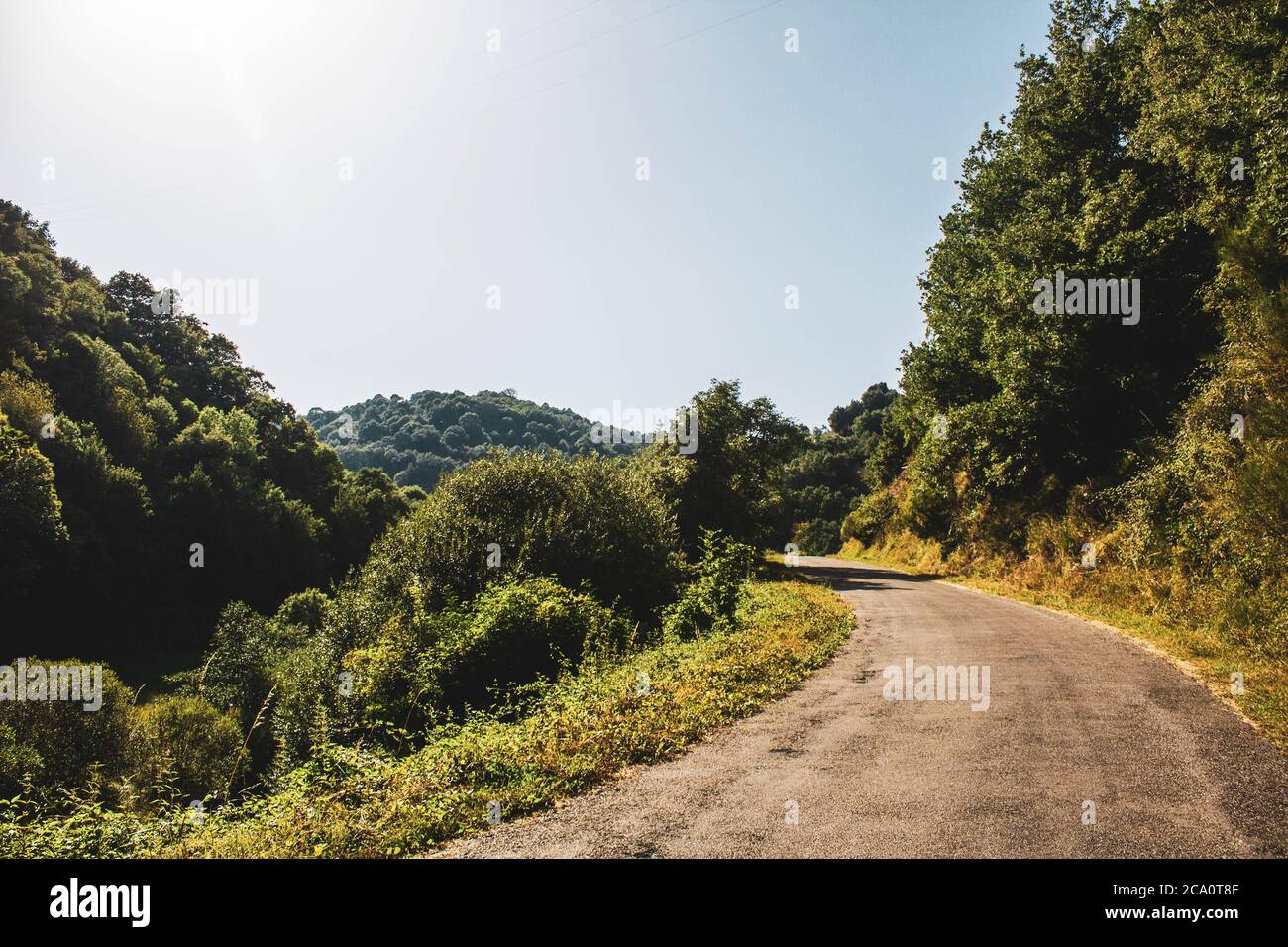 Roadway vegetation hi-res stock photography and images - Alamy