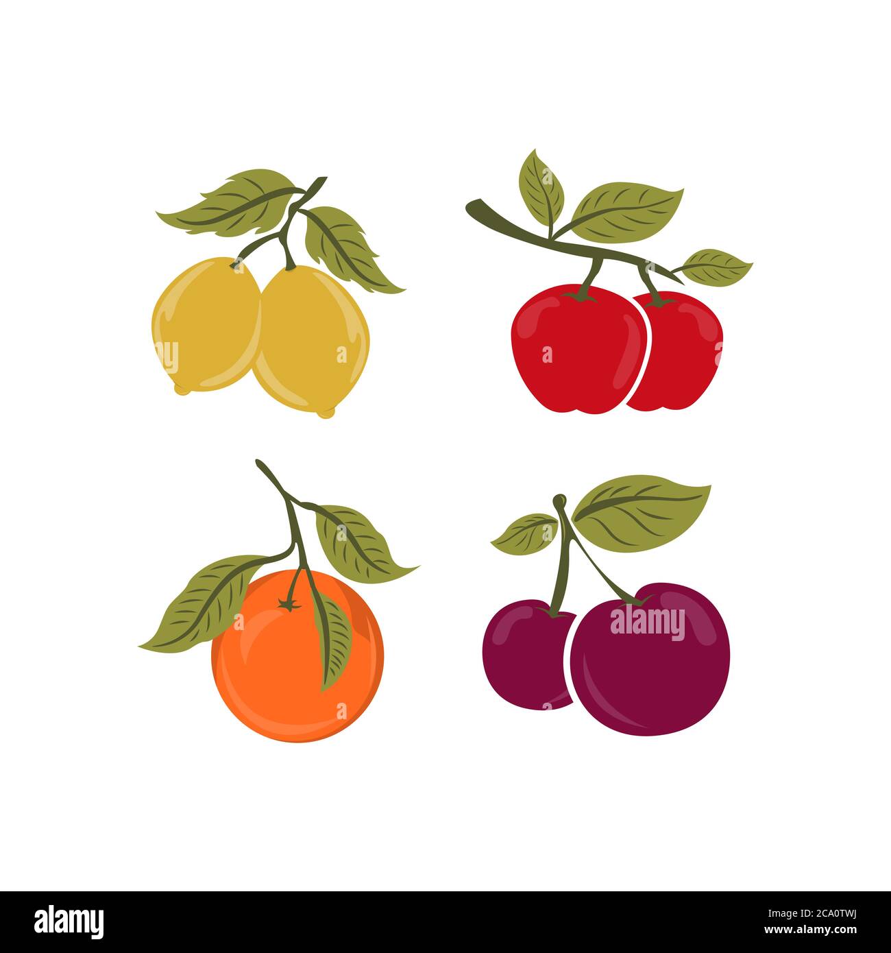 Fruit Vector
