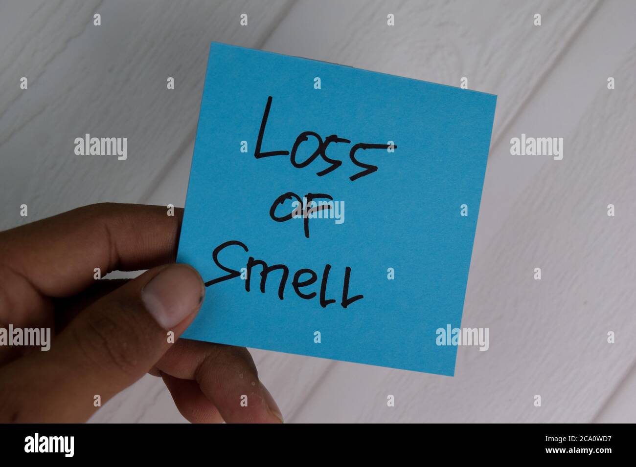 Sense Of Smell Illustration High Resolution Stock Photography and ...