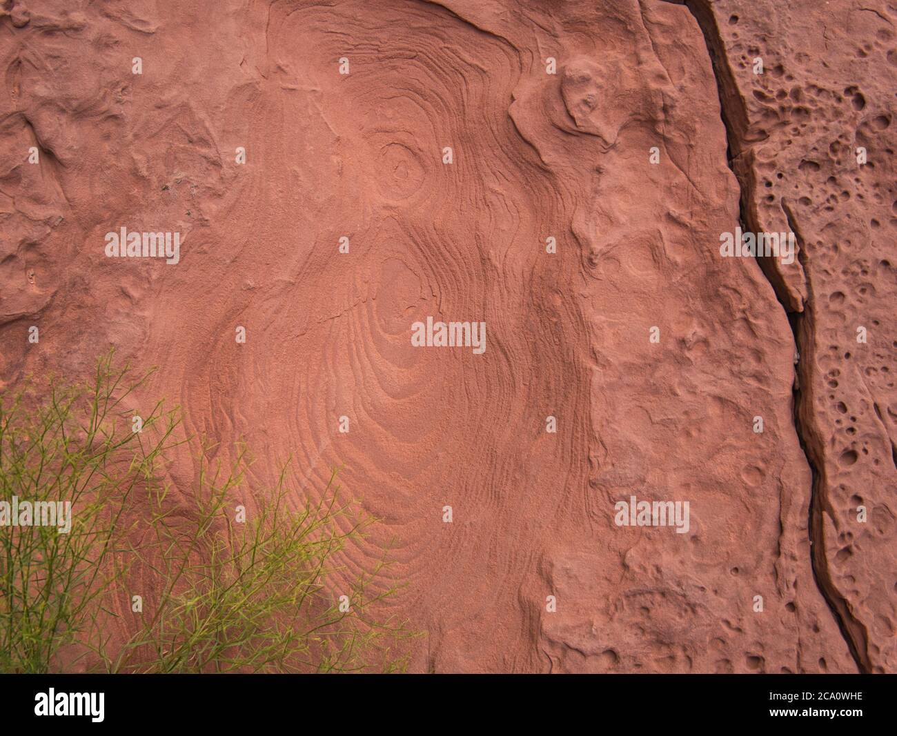 A red sandstone with round lines and small holes Stock Photo - Alamy