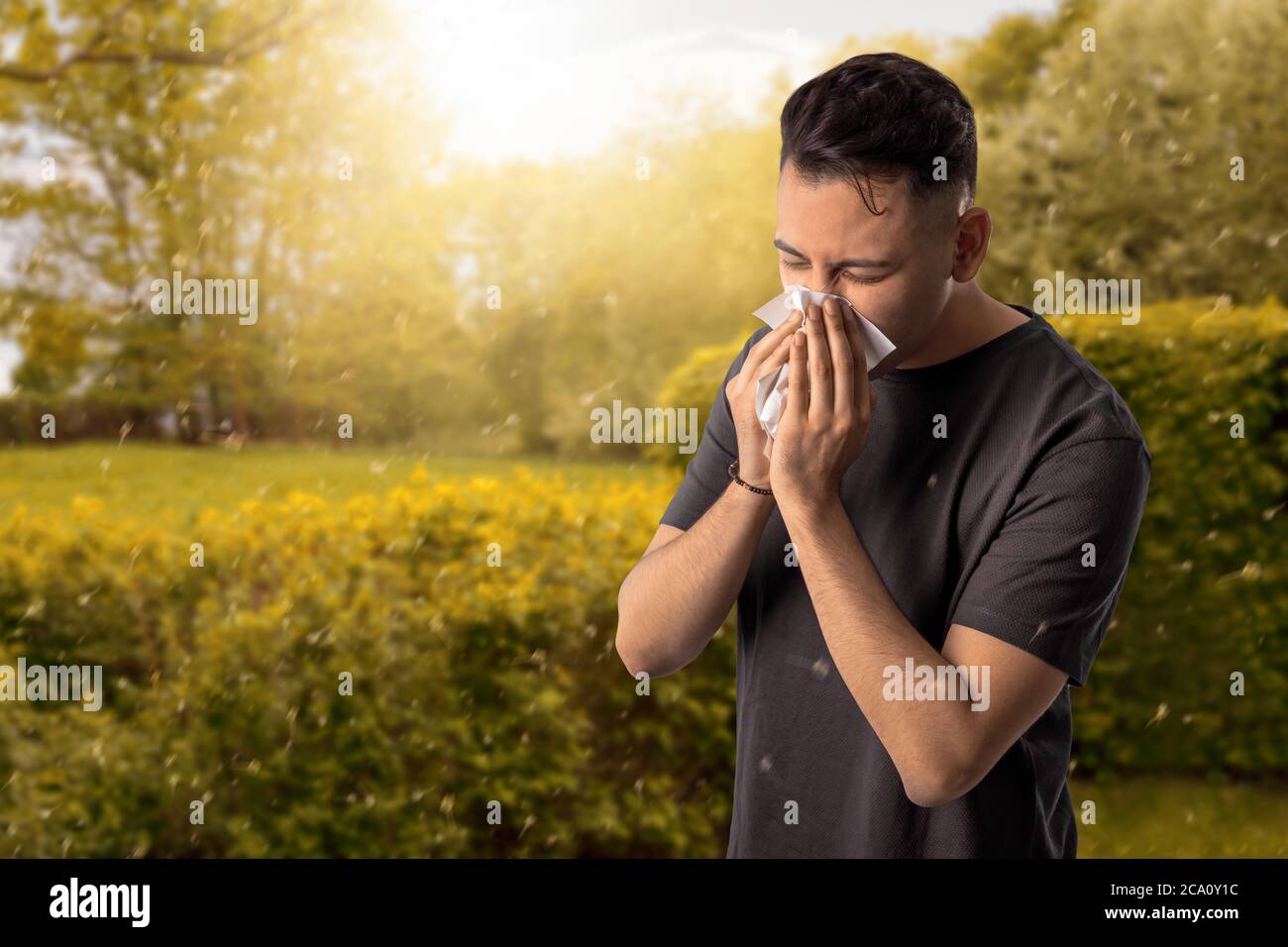 hay fever allergy Stock Photo - Alamy
