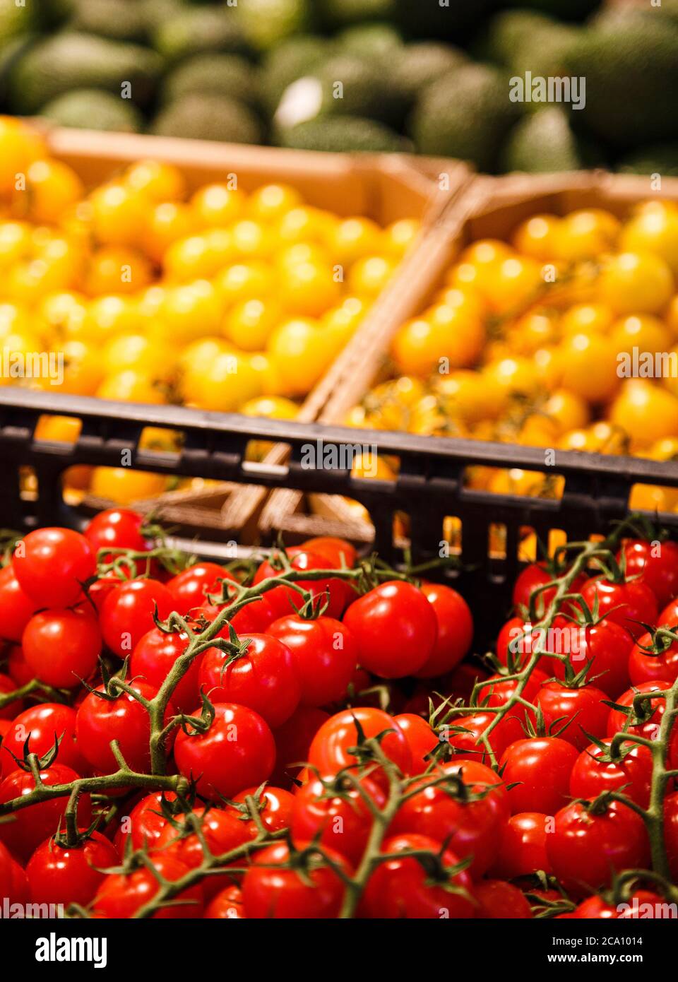 Colourful mix of different red, orange, yellow, green fresh vegetables ...